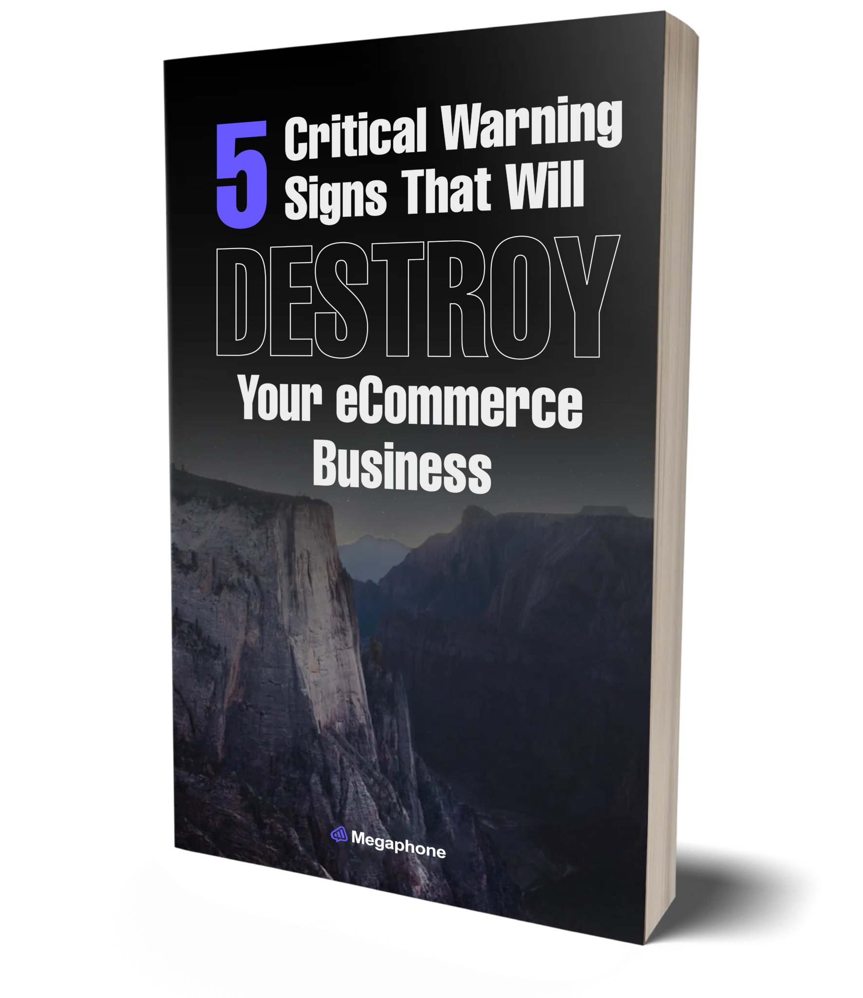 5 Critical Warning Signs That Will Destroy Your eCommerce Business ...